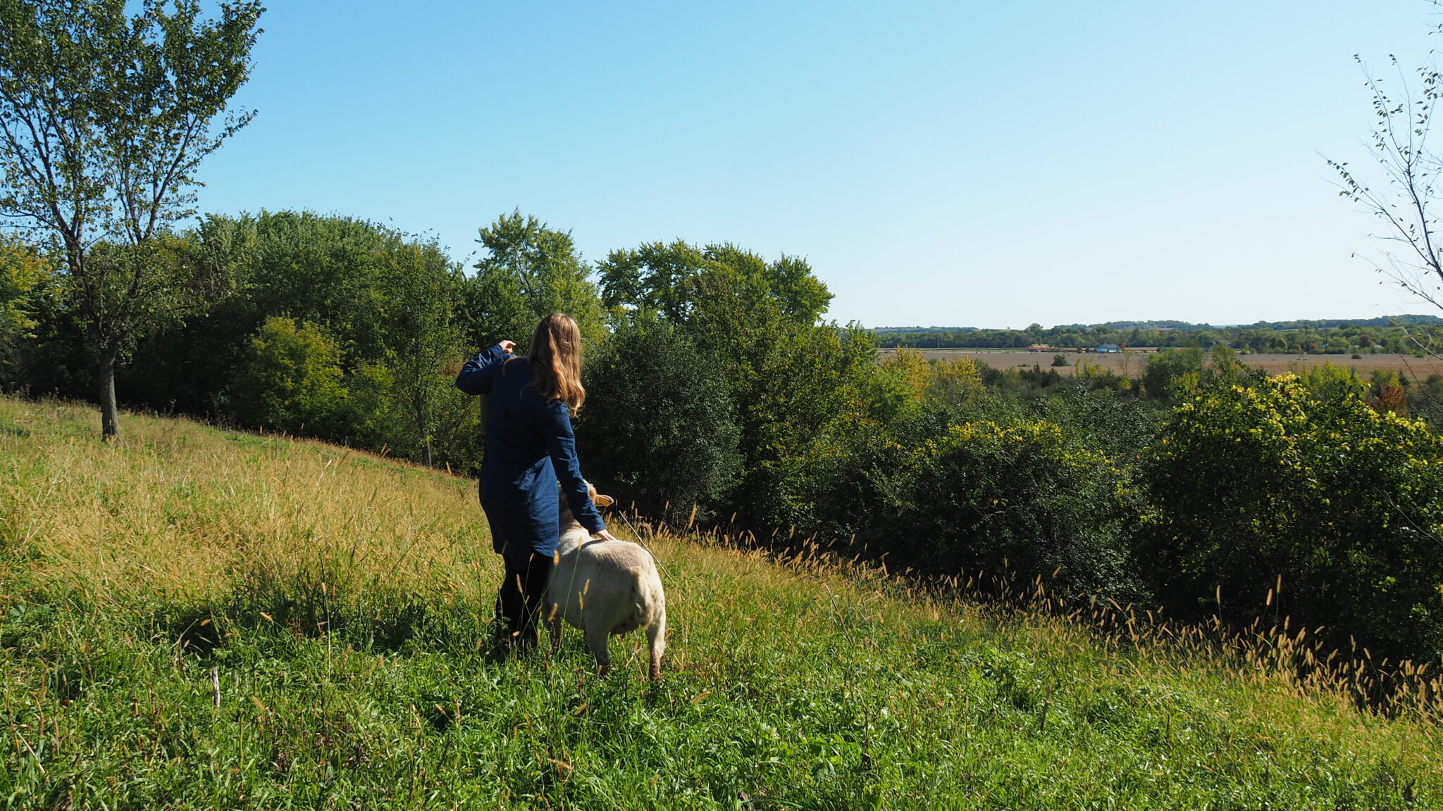 Get Bentz Farm - Cannon Valley Grown